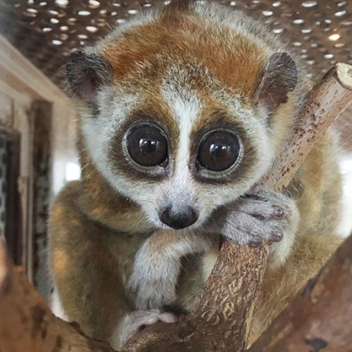 子ども体験館 アクアマリンえっぐ｜展示ガイド｜アクアマリンふくしま